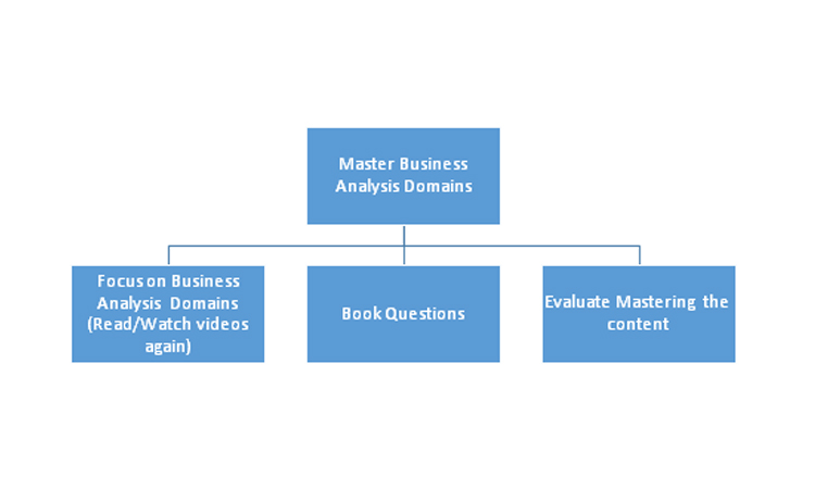 Professional in Business Analysis (PMI-PBA) Exam Study Plan